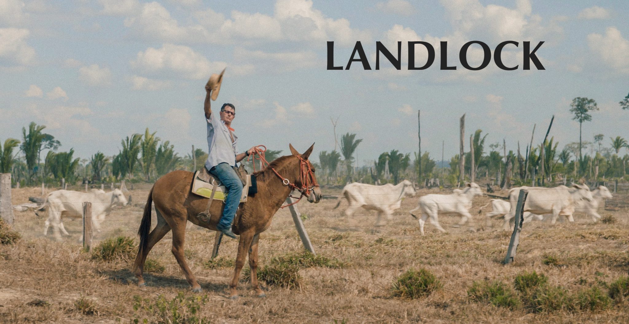 Landlock – The Rogovy Foundation