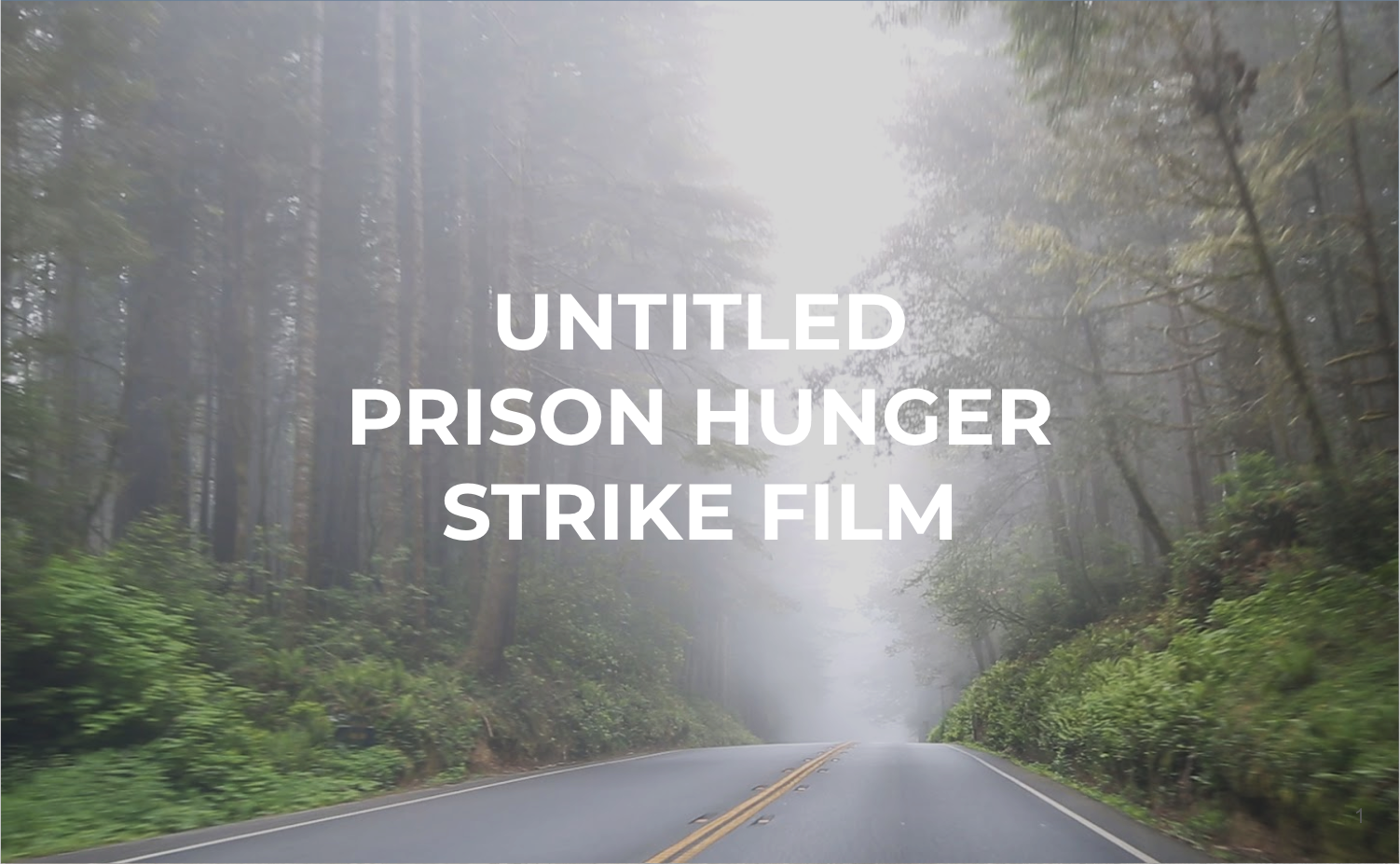 Prison Hunger Strike Film – The Rogovy Foundation