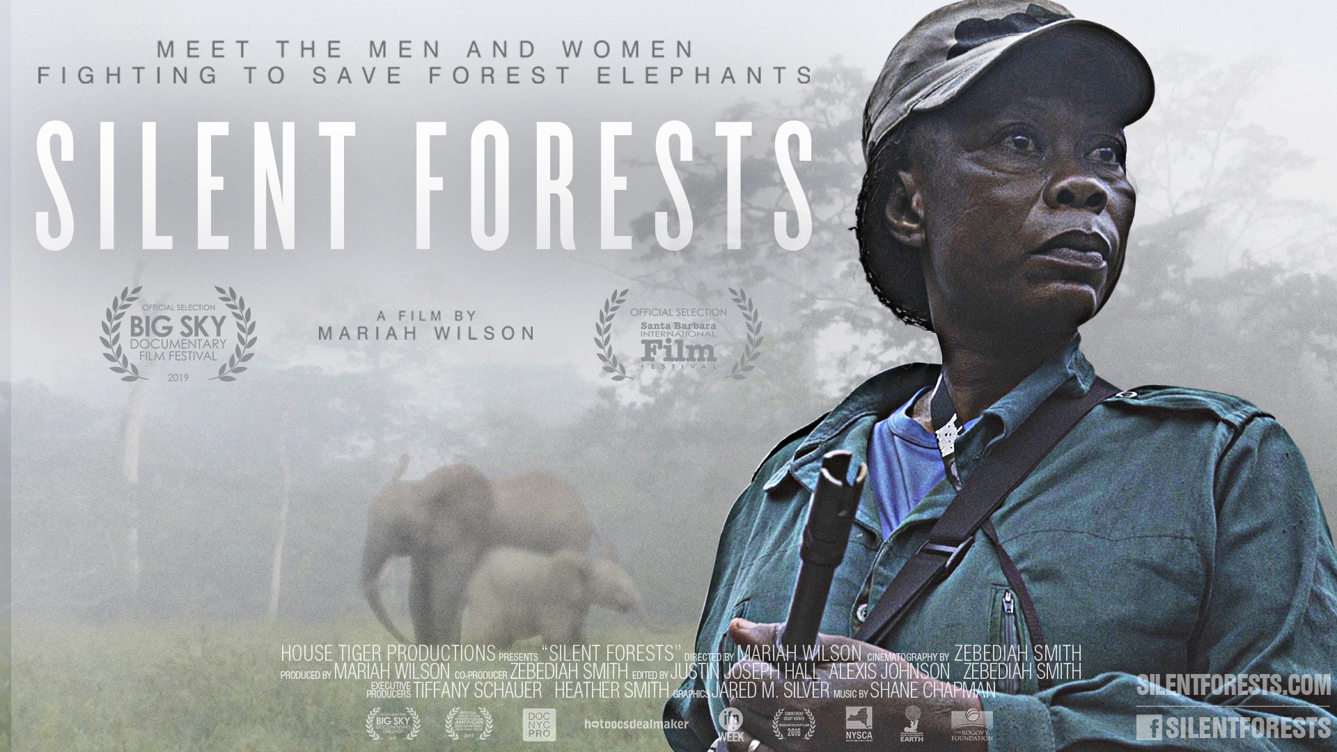 Viewing Room – The Rogovy Foundation