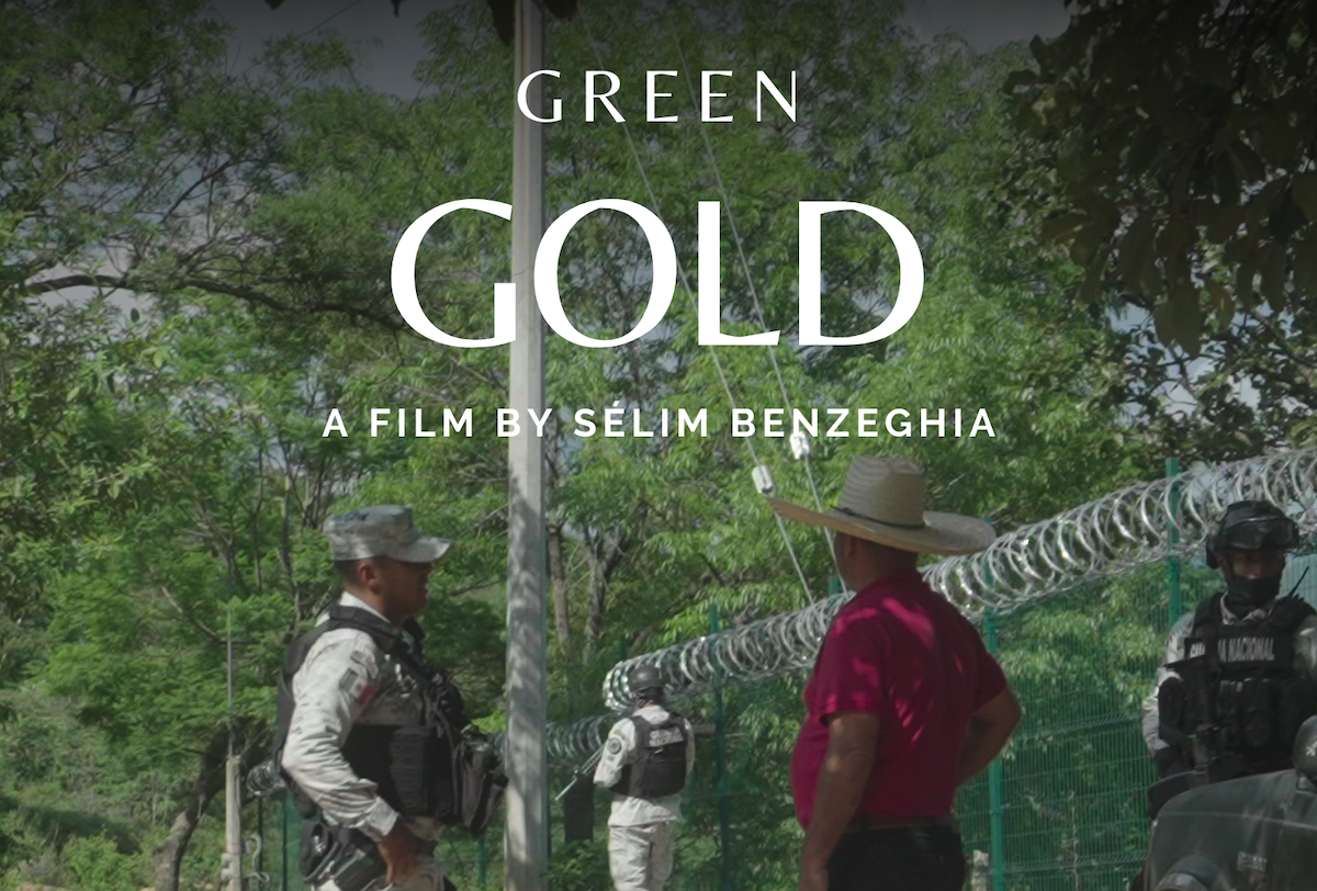 Green Gold – The Rogovy Foundation